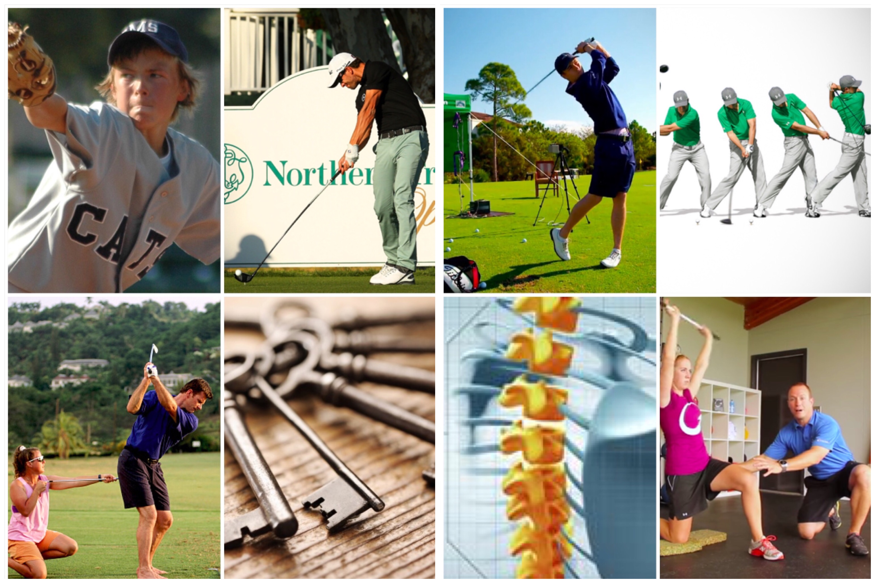 Our 10 Most Popular Articles of 2015 | Article | TPI