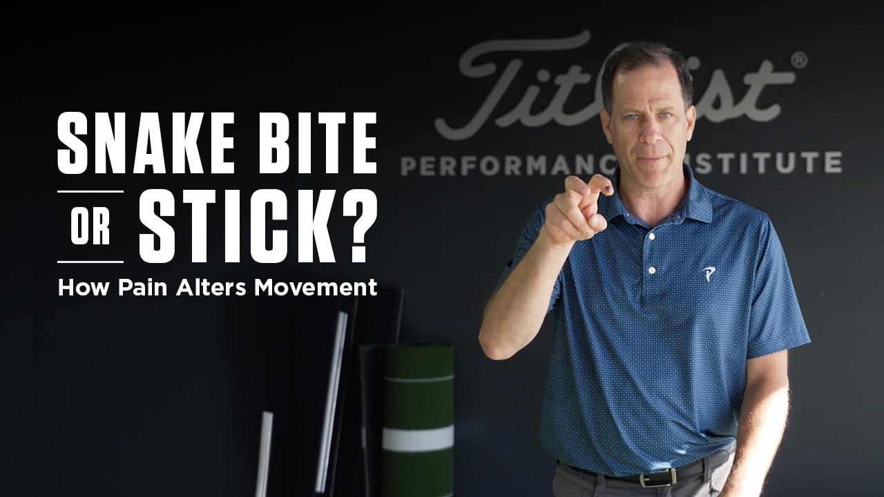 Snake Bite or Stick: How Pain Alters Movement Patterns | Article | TPI