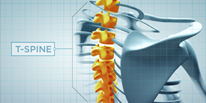 How To Improve Rotation While Protecting Your Lower Back | Article | TPI